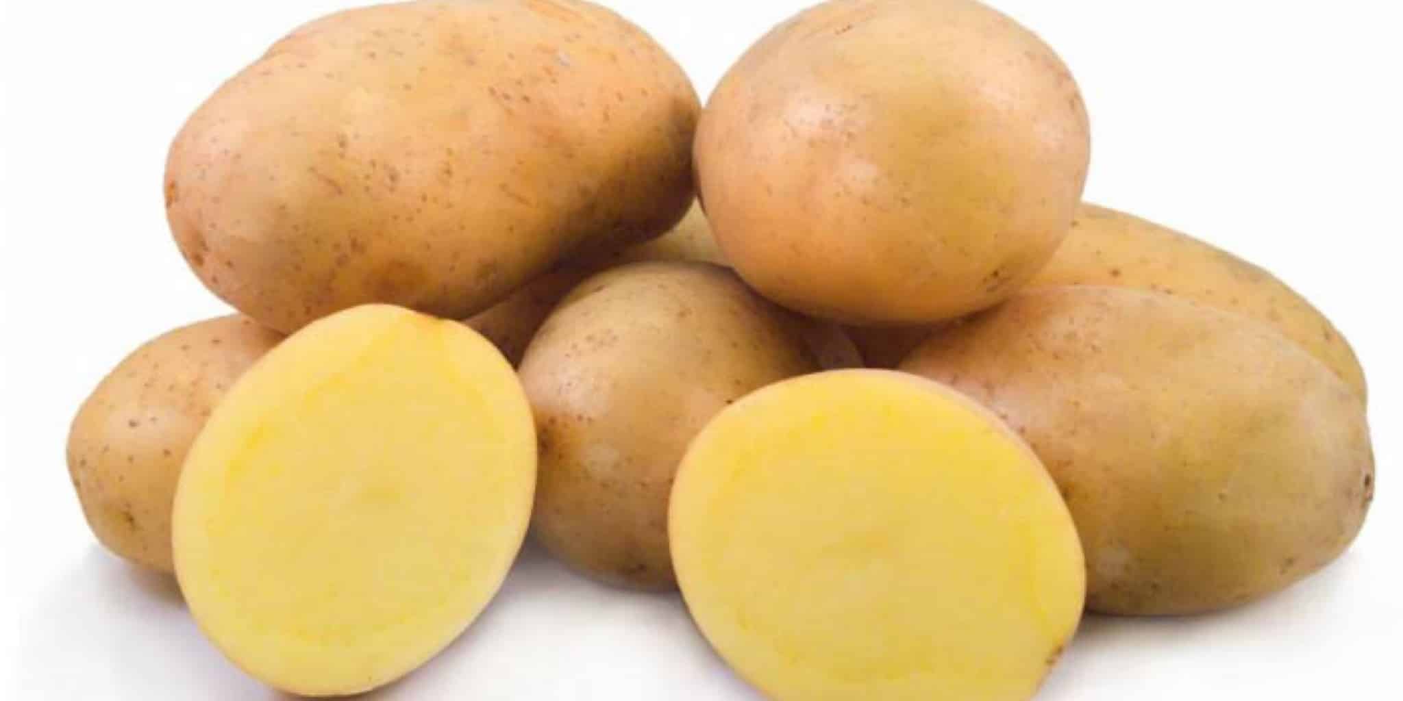 “Che bella patata liscia” Cuoco sbaglia chat e la moglie lo lascia - La ...